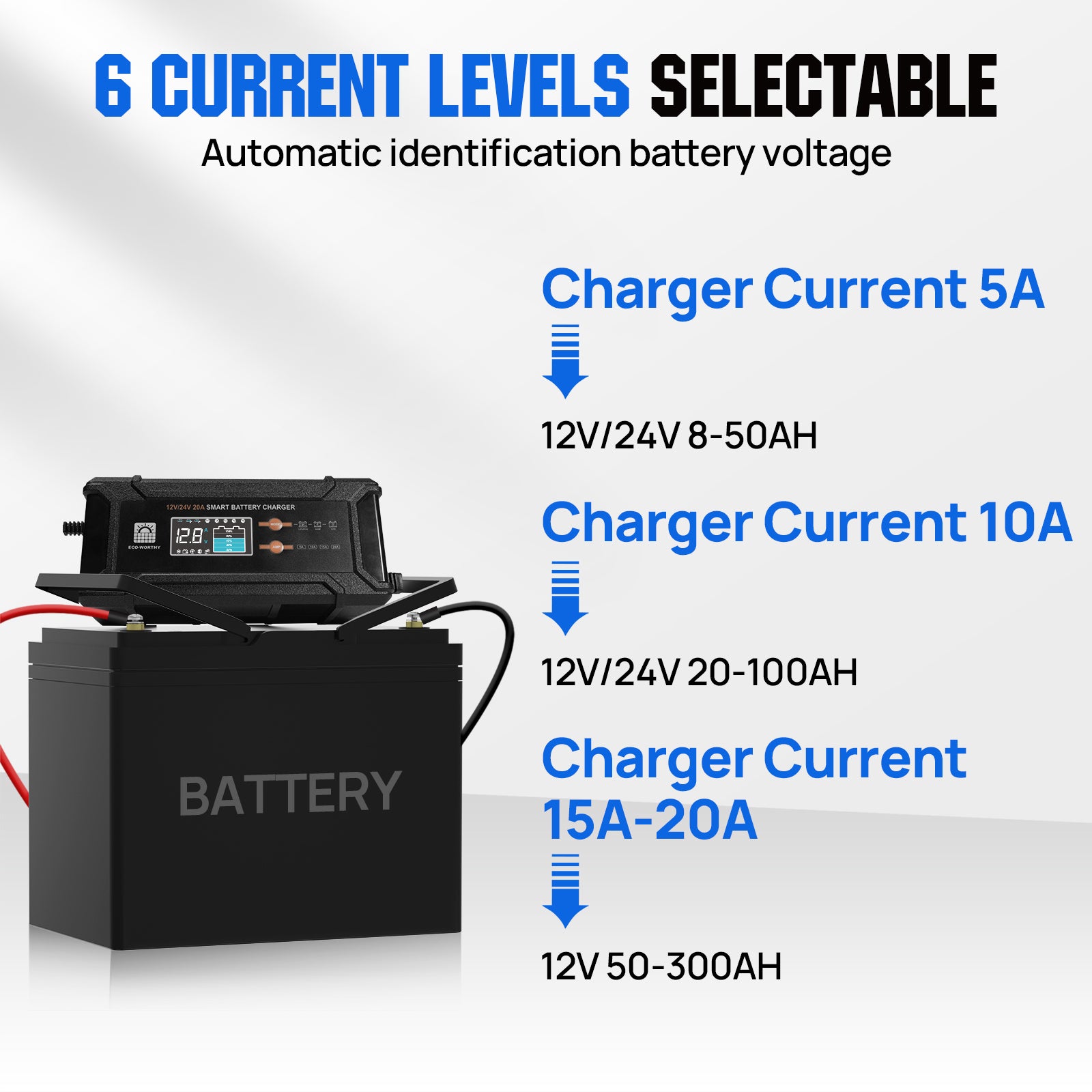 Eco-Worthy 12v/24v 20A Smart Battery Charger for Lithium Battery